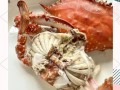 清水煮梭子蟹的正确方法_梭子蟹煮多久才熟