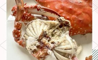 清水煮梭子蟹的正确方法_梭子蟹煮多久才熟