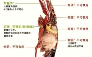 大龙虾怎么杀_活龙虾处理步骤