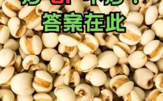 薏米怎么吃最好_薏米去湿气吃法
