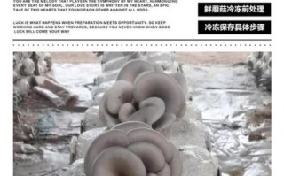 鲜蘑菇怎么长期保存_鲜蘑菇放冰箱能放多久