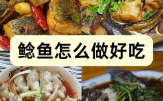 鲶鱼怎么做好吃_家常做法