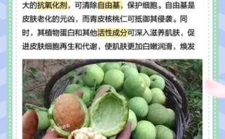 青皮核桃的功效与作用_青皮核桃的禁忌有哪些