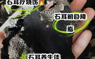 石耳的功效与作用_石耳怎么吃效果最好
