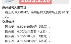 今日生姜价格多少钱一斤_生姜价格走势还会涨吗