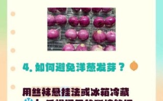 发芽的洋葱能吃吗_有毒吗