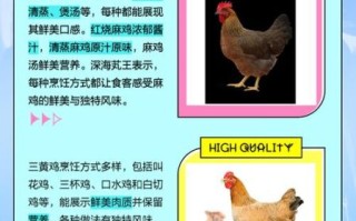 麻鸡和三黄鸡哪个好吃_口感区别在哪