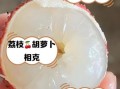 荔枝和什么吃会中毒_荔枝不能和什么一起吃
