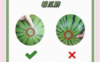 如何挑选西瓜小窍门_西瓜怎么挑才甜