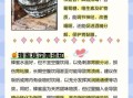 蜂蜜的好处有哪些_蜂蜜的坏处是什么