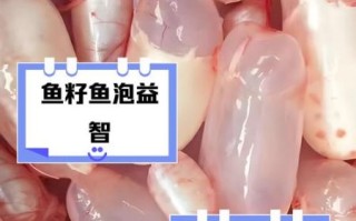 鱼籽鱼泡的营养价值_孕妇可以吃吗