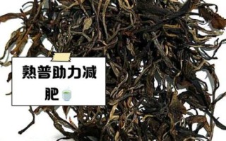 普洱茶减肥生还是熟_哪个效果更好