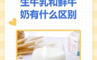 鲜奶和纯牛奶的区别_哪个营养价值更高