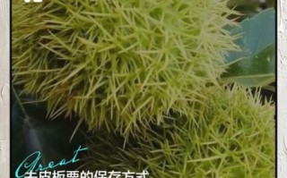 板栗去皮后怎么保存_去皮板栗能放多久