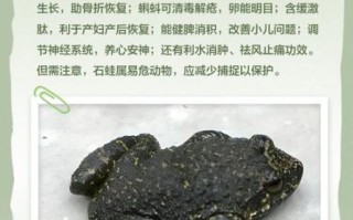 吃野生石蛙犯法吗_野生石蛙是否属于保护动物