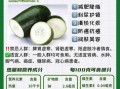 冬瓜不能和什么一起吃_冬瓜和什么搭配最营养