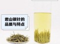 银针茶多少钱一斤_银针茶怎么泡才好喝