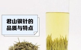 银针茶多少钱一斤_银针茶怎么泡才好喝