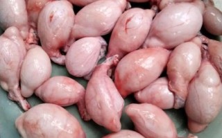 羊睾丸怎么做好吃_羊睾丸的做法大全