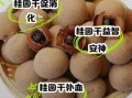 桂圆干的功效与作用及禁忌_哪些人不能吃