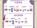 鲜葡萄酒的制作方法_家庭自酿鲜葡萄酒步骤