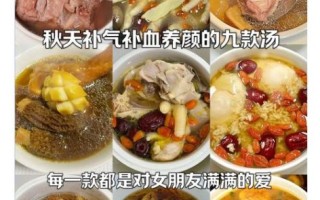 补气药膳汤谱大全_适合气虚体质的汤方