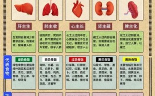 中医饮食保健学_如何根据体质选食材