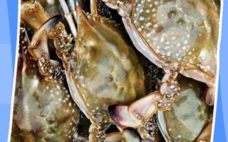 螃蟹放0度保鲜还是4度冷藏_活蟹保存温度多少合适