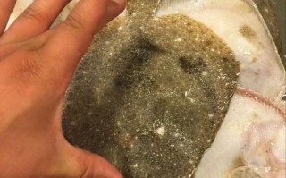 水煮多宝鱼怎么做_水煮多宝鱼用不用去鳞