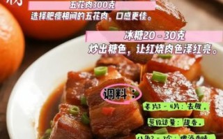 红烧肉怎么做肥而不腻_红烧肉不腻的窍门