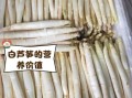 白芦笋哪里最好吃_白芦笋产地怎么选