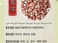 芡实怎么吃补肾效果最好_芡实补肾的吃法