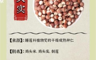 芡实怎么吃补肾效果最好_芡实补肾的吃法