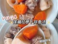 莲藕粉葛红萝卜猪骨汤的做法_功效与禁忌