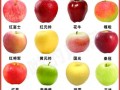 小苹果水果多少钱一斤_小苹果和普通苹果区别