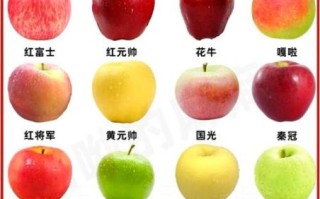 小苹果水果多少钱一斤_小苹果和普通苹果区别