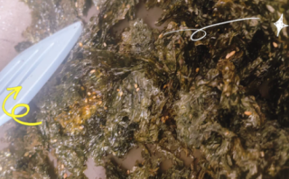 自制海苔碎的做法窍门_如何保存不返潮