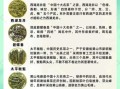 绿茶包括哪些茶_绿茶品种大全