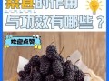 桑椹的功效与作用有哪些_桑椹的正确吃法是什么