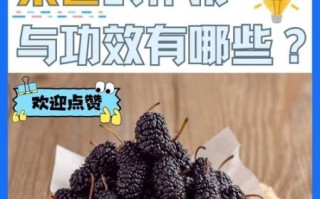 桑椹的功效与作用有哪些_桑椹的正确吃法是什么