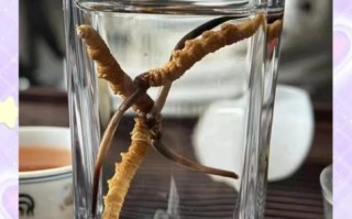 虫草泡水一次几根_虫草泡水用量多少合适