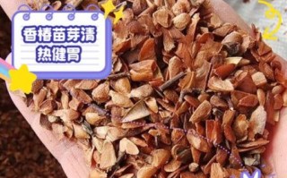 香椿种子怎么育苗_香椿种子育苗多久发芽