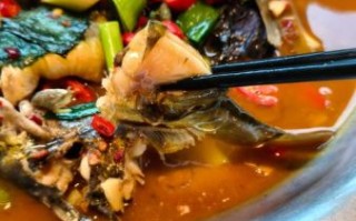 黄刺鱼多少钱一斤_黄刺鱼怎么做好吃