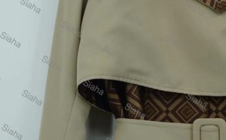 梳云掠月是什么意思_梳云掠月出自哪里