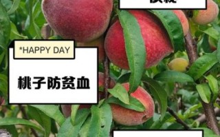 桃子有哪些功效与作用_桃子怎么吃最营养