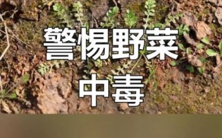 有毒的野菜图片大全_哪些野菜不能吃