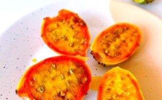 仙人掌的果实能吃吗_仙人掌果怎么吃