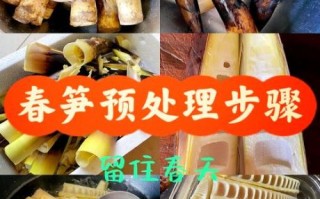 鲜竹笋怎么处理才能吃_鲜竹笋去涩味的方法