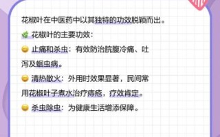 花椒叶能吃吗_花椒叶的功效与作用