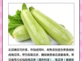 北瓜的功效与作用_糖尿病人能吃北瓜吗